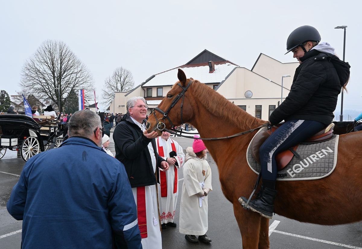 Ob prazniku blagoslov konj - braslovce.si